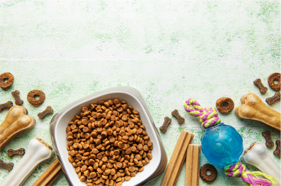 Pet Food Packaging Solutions | Dog & Cat Food Pouches